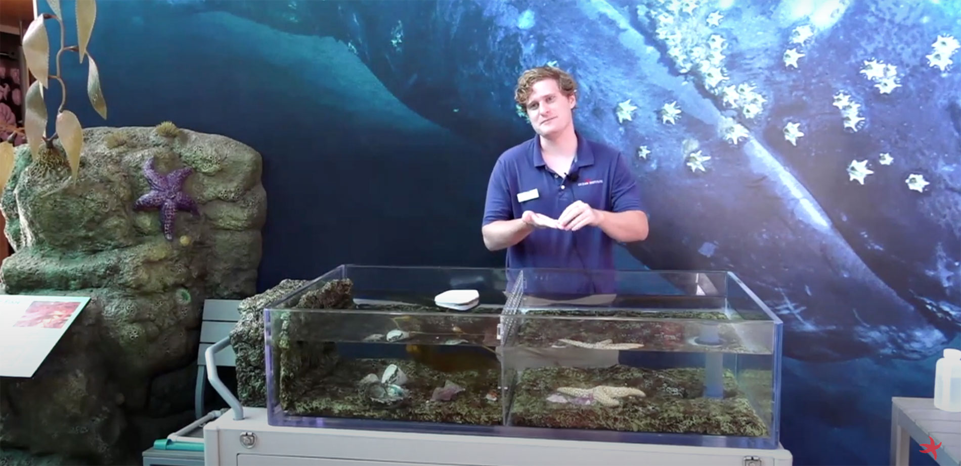 Field Trips | OI Field Trips