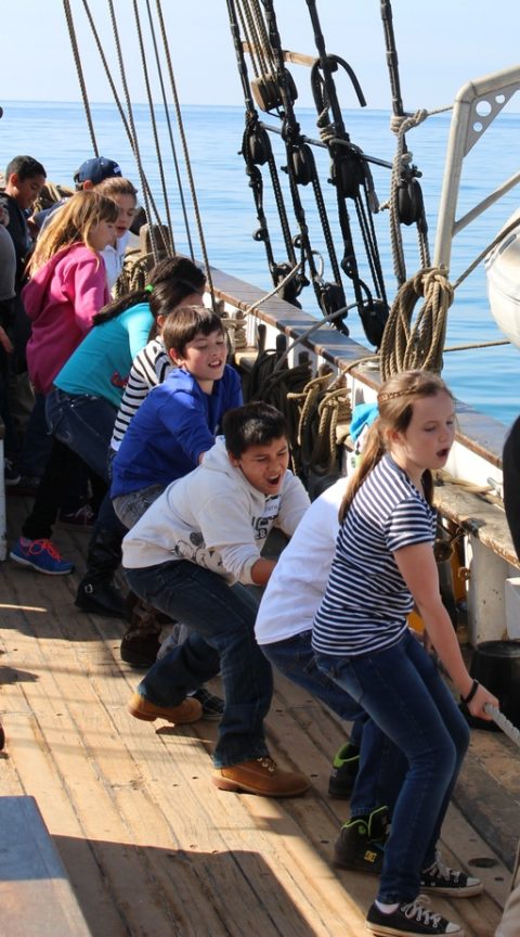 Helm’s Alee | OI Field Trips