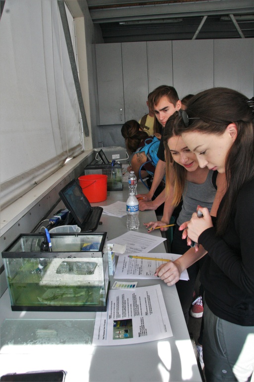 Human Impacts on Coastal Ecosystems Lab | OI Field Trips