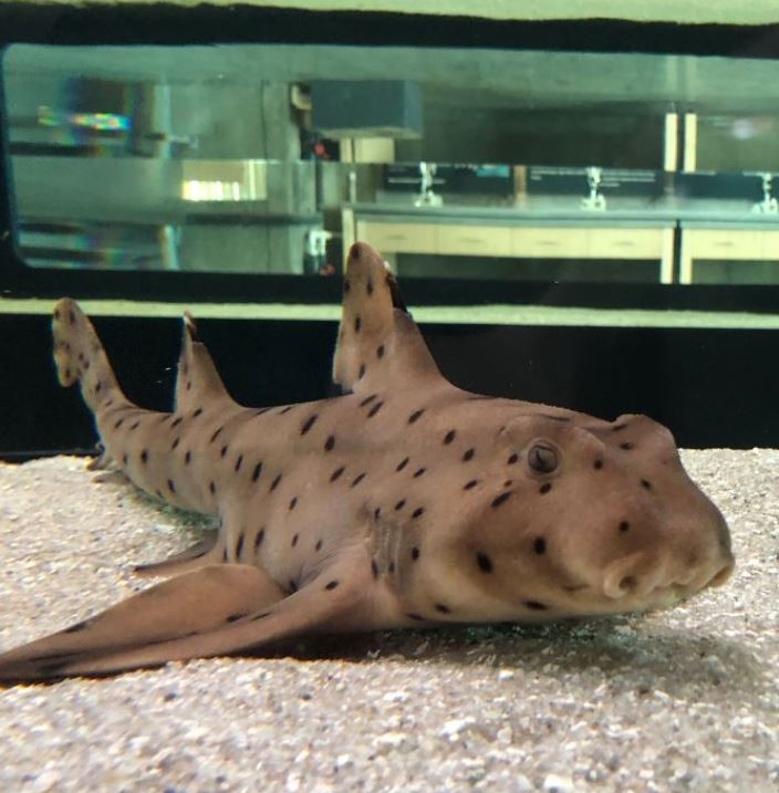 Field Trips | OI Field Trips